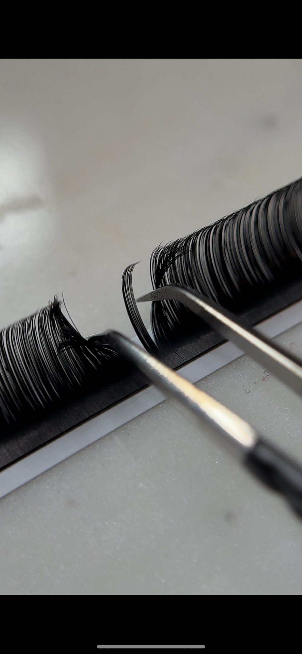 lashbunnyco
